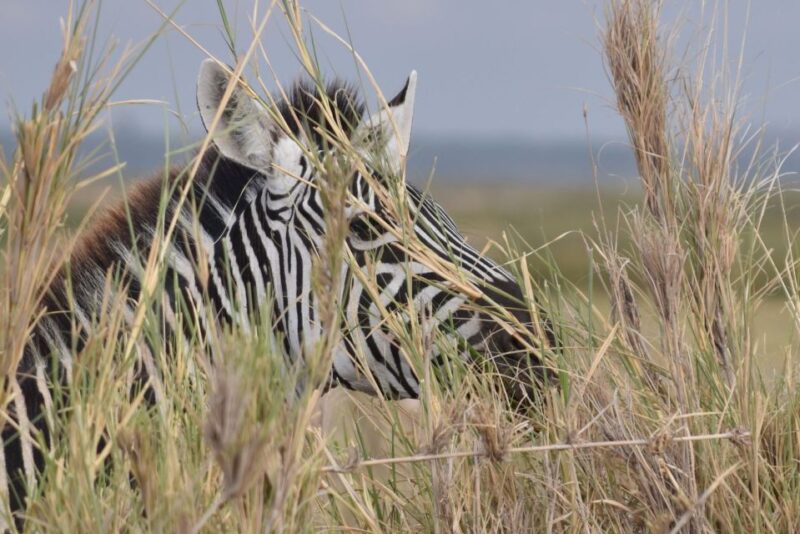 2 Days 1 Night Taita Hills - The Sum Up