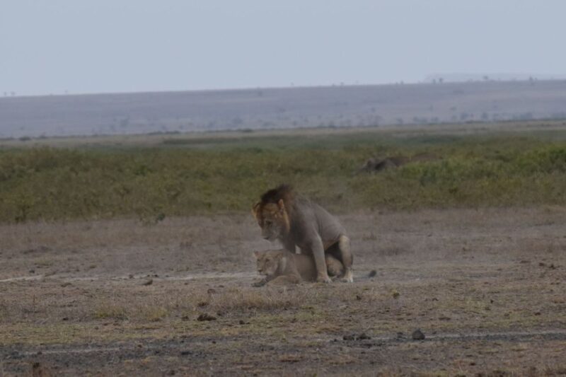 2 Days 1 Night Taita Hills - FAQs