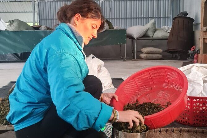 2 days Ancient Tea Tour and Real Homestay West of Ha Giang - The Sum Up: Is This Tour for You?