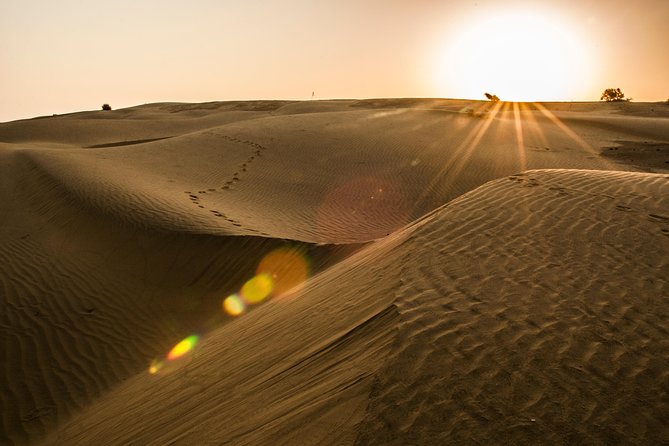 2 Days and 1 Night Camel Safari - What Makes This Tour Stand Out?