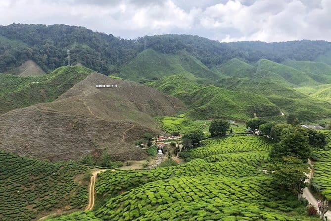 2 Days Cameron Highlands, Batu Caves & Kuala Selangor Fireflies Tour - Key Points