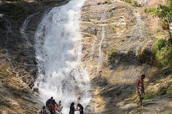 2 Days Cameron Highlands, Batu Caves & Kuala Selangor Fireflies Tour - What’s Included and What’s Not