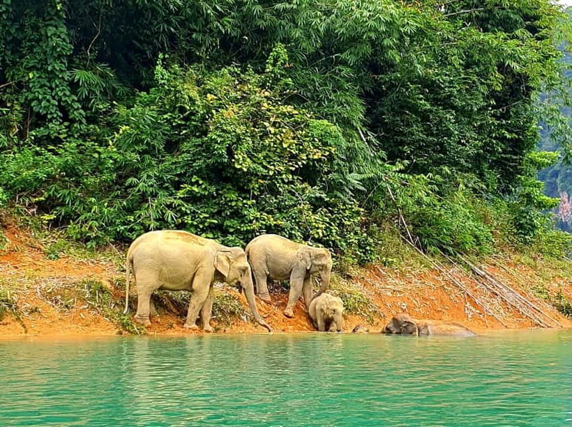 2 Days Cheow Lan Lake Explorations & Bamboo Rafting - Final Thoughts: Who Will Appreciate This Tour?