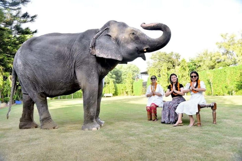 2 Days complete Jaipur tour with elephant safari with guide. - FAQ
