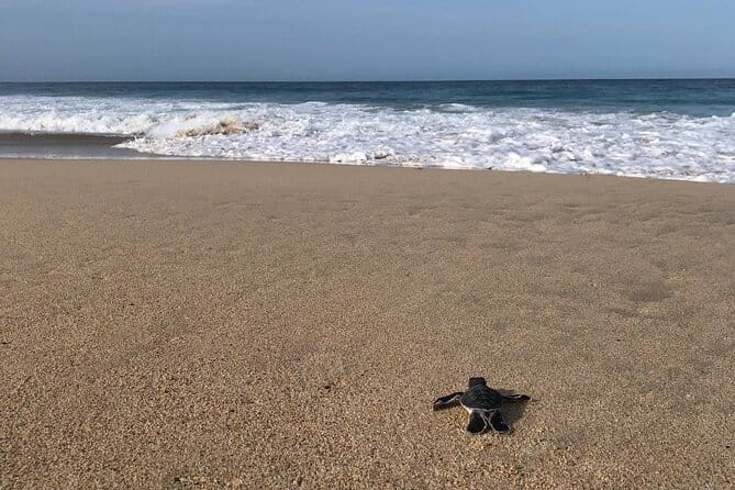 2 Days Ethical Jungle Trek in Sumatra - The Sum Up