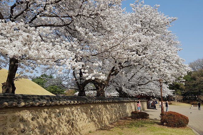 2 Days Gyeongju Private Tour from Seoul and Near Seoul - Value and Cost Analysis
