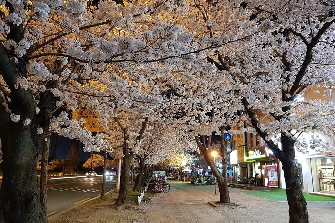 2 Days Gyeongju Private Tour from Seoul and Near Seoul - FAQs