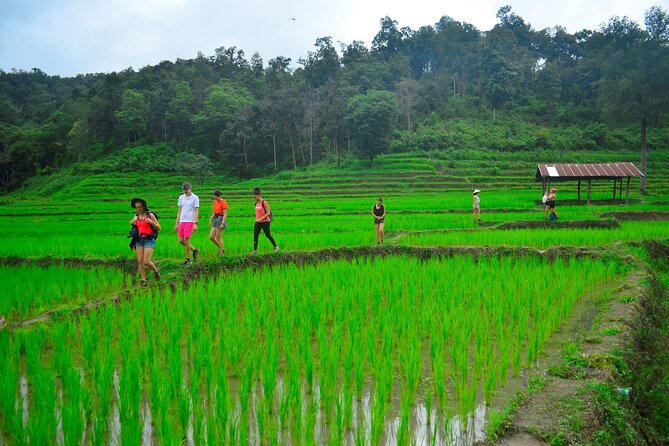 2 Days Hiking Tour in Chiang Mai - FAQ