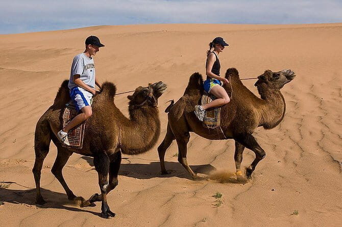 2 Days Hustai National Park and Nomadic homestay tour - Who Will Benefit Most?