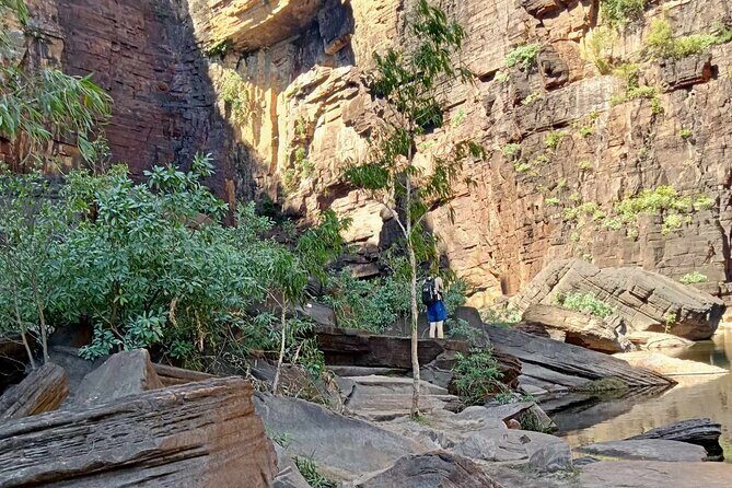 2 Days Kakadu - Comfort, Transportation, and Guide Quality