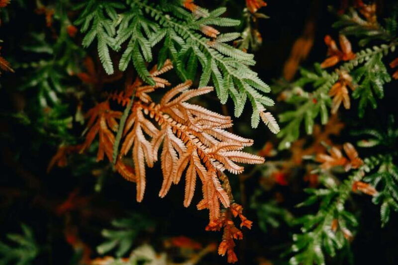 2 Days Khao Sok with Overnight at Cheow Lan Lake Raft House - Detailed Itinerary Breakdown