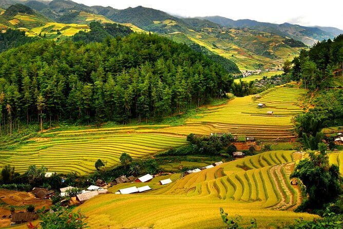 2 Days Mai Chau Classic Group Tour - An In-Depth Look at the Mai Chau Experience