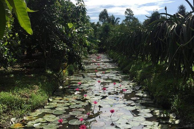 2 days Mekong Delta Can Tho Floating market from Sai Gon (drop off many options) - The Sum Up