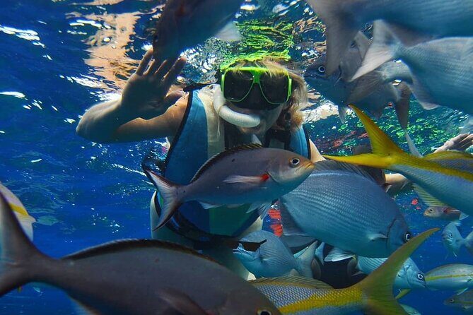 2-Days of Private Jamaican Excursions (All Inclusive) - FAQ