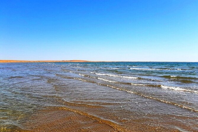 2 Days of Tour in Yurt Camp and Aydarkul - What’s Included and What to Consider