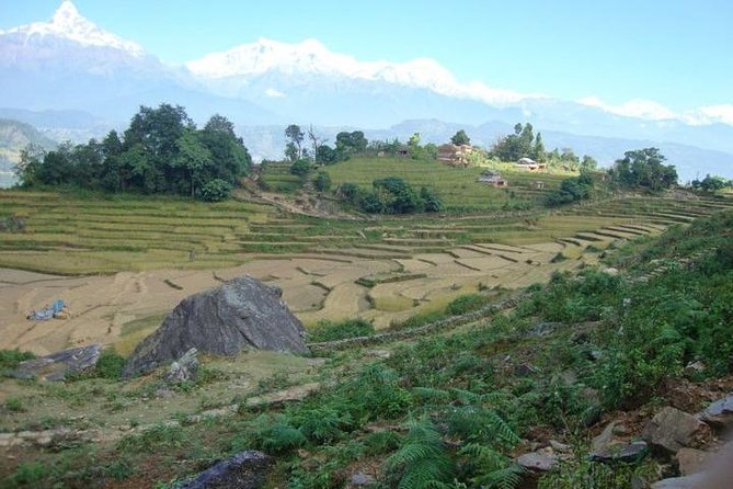 2 Days Panchase Hill Trek from Pokhara - Who Is This Trek Best For?