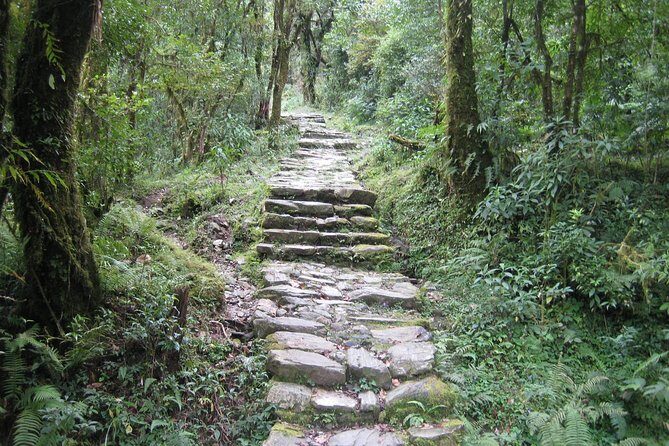 2 Days Panchase Hill Trekking - The Practicalities and Price-Value Balance