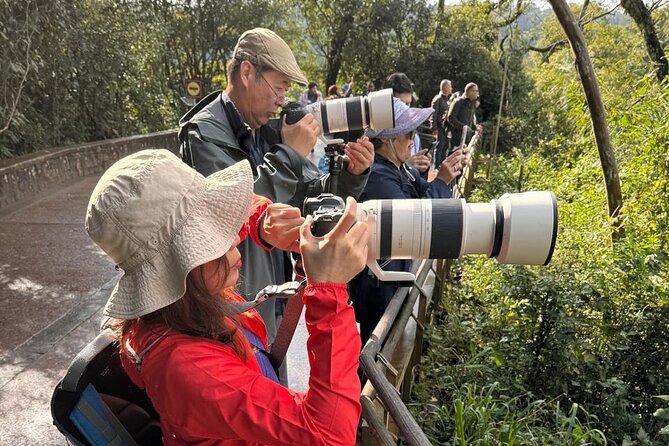 2-Days PRIVATE Brasil & Argentina Experience Iguassu Falls - Exploring the Brazilian Side of the Falls
