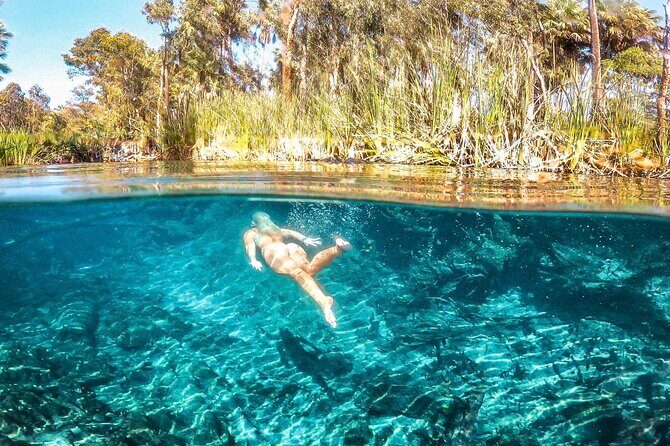 2 Days Private Guided Tour from Darwin to Alice - Key Points