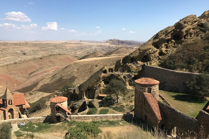 2 Days Private Organic Wine Tour to Kakheti Region via Rustavi and David Gareja - Final Thoughts