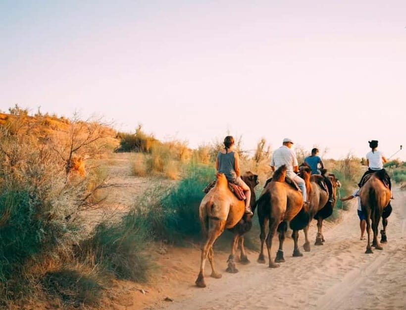 2 Days Private Safari Tour from Bukhara - Key Points