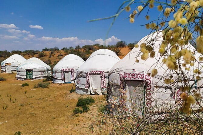 2 Days Private Safari Tour from Bukhara - Frequently Asked Questions