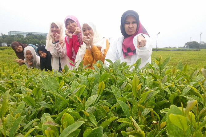 2 Days Private Taxi Tour - West and South of Jeju Island - Who is This Tour Best For?