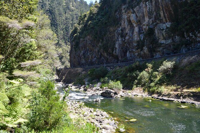 2 Days Private Tour in Coromandel Peninsula from Hamilton - A Detailed Look at the Coromandel Tour Experience