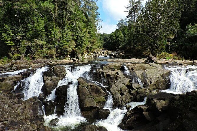 2 Days Private Tour in Tauranga, Rotorua, Taupo from Hamilton - Is This Tour Right for You?