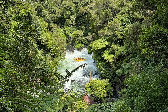2 Days Private Tour in Tauranga, Rotorua, Taupo from Hamilton - The Sum Up