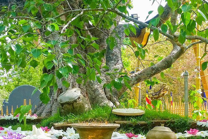 2- Days Private tour to Anuradhapura & Wilpattu National Park from Negombo - Why This Tour Offers Good Value