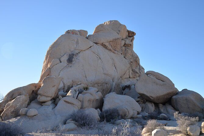 2-days Private Tour to Joshua Tree National Park from Los Angeles - The Itinerary in Detail