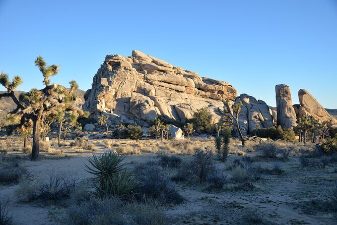 2-days Private Tour to Joshua Tree National Park from Los Angeles - Who Should Consider This Tour?