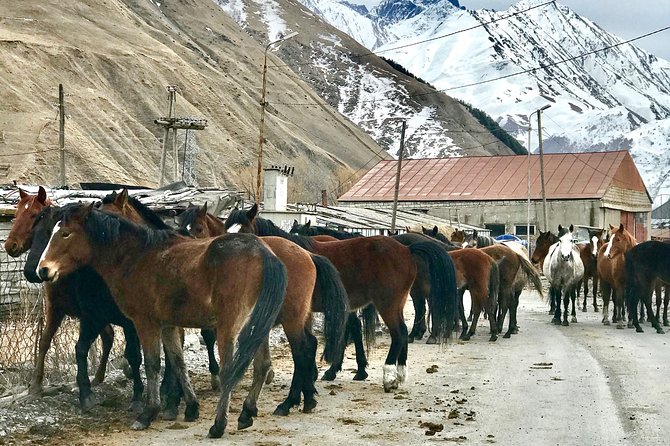 2 Days Private Tour to Kazbegi and Juta Village with Trekking - A Detailed Look at the Experience
