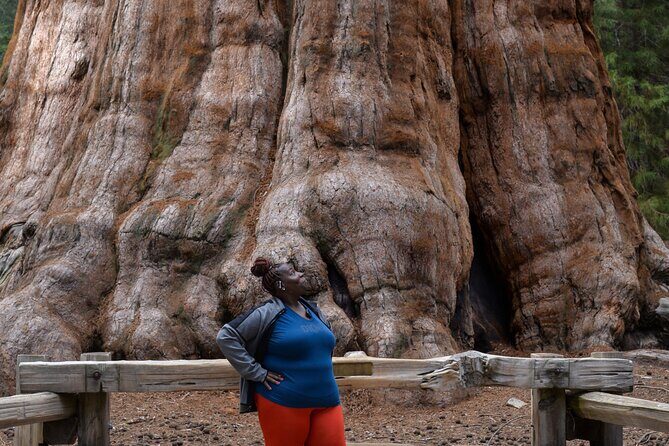 2 Days Private Tour to Sequoia and Kings Canyon Parks from LA - Exploring the 2-Day Private Tour to Sequoia and Kings Canyon Parks from Los Angeles