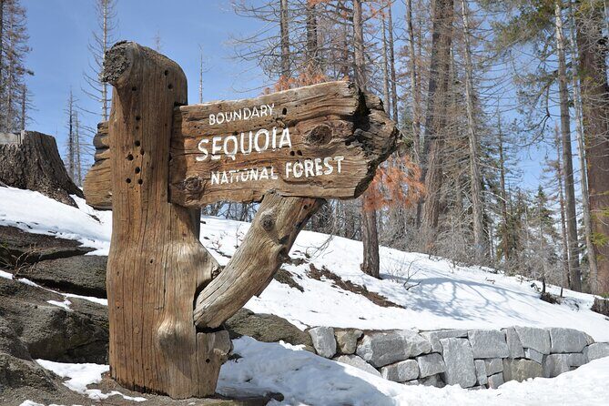 2 Days Private Tour to Sequoia and Kings Canyon Parks from LA - An In-Depth Look at the Experience