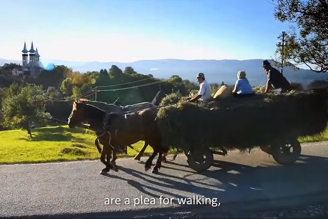 2 Days Private Tour Transfagarasan Road & Sibiu From Bucharest - Itinerary Highlights