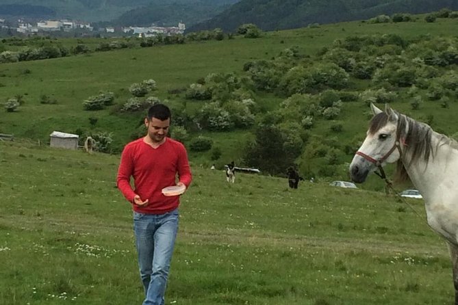 2 Days Private Tour Transfagarasan Road & Sibiu From Bucharest - Sibiu and Cozia Monastery