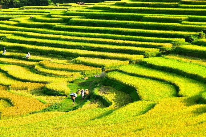 2 Days Pu Luong Offbeat Trekking Best for Mountain Lovers - Price and Overall Value