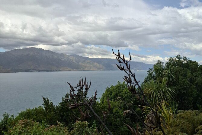 2 Days Queenstown Wanaka Private Tours from Dunedin - Final Thoughts