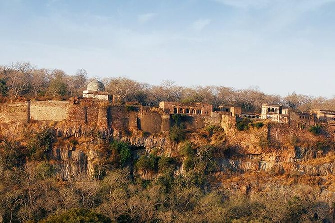 2 Days Ranthambore Tiger Safari with Tickets - The Sum Up