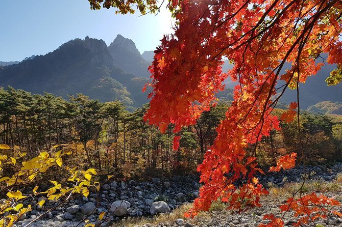 2-days: Real Hiking to Mt Seorak Summit(1,708m) with Professional Mountaineer - Key Points