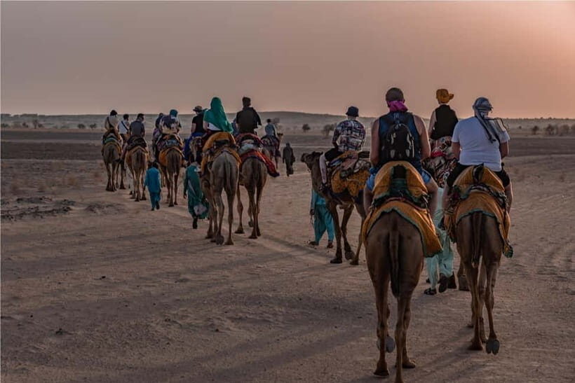 2 Days Sharing Group Non Touristic Camel & Desert Safari - Key Points