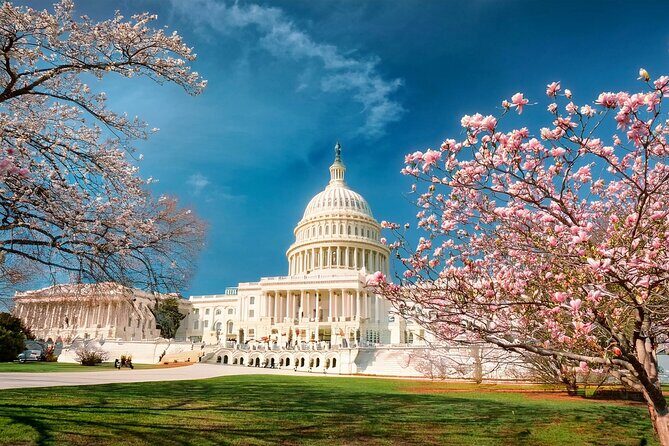 2 Days Slow-Paced & Seniors Washington DC Tour from New York - Exploring the Itinerary in Detail
