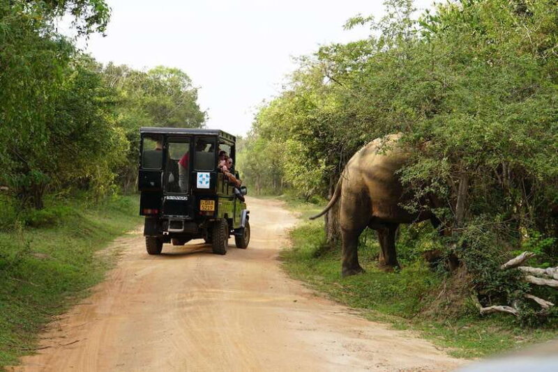 2 days Sri Lanka: All-inclusive tour to Ella and Yala with 4-star hotel - Who Will Love This Tour?