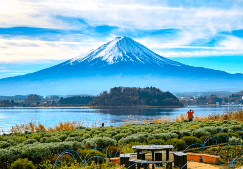 2 Days Tokyo, Mount Fuji Trip Private Guided Tour - Key Points