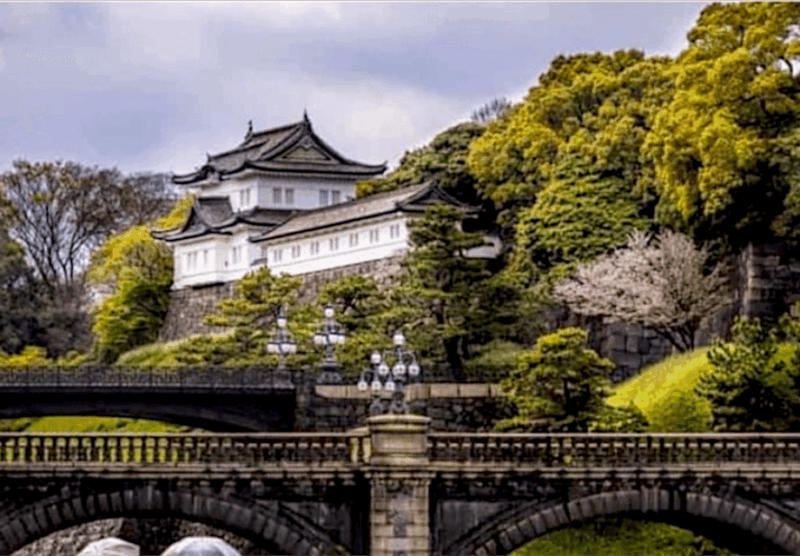 2 Days Tokyo, Mount Fuji Trip Private Guided Tour - Included Amenities