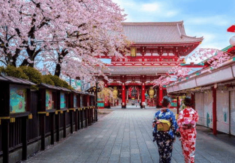 2 Days Tokyo, Mount Fuji Trip Private Guided Tour - Day 1: Exploring Tokyos Highlights