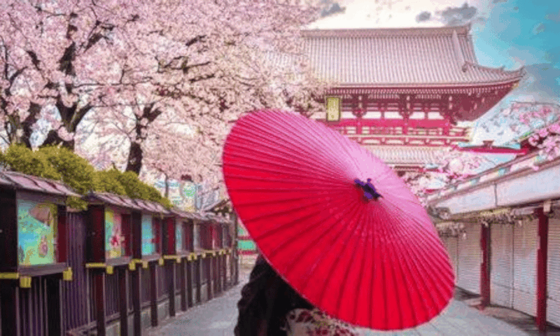 2 Days Tokyo, Mount Fuji Trip Private Guided Tour - Day 2: Mount Fuji and Lake Kawaguchi