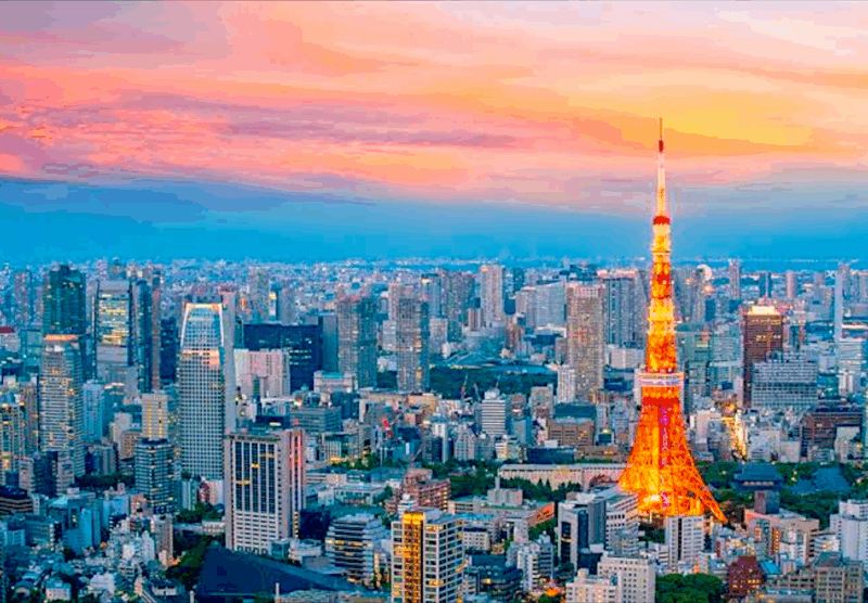 2 Days Tokyo, Mount Fuji Trip Private Guided Tour - What to Expect and How to Prepare